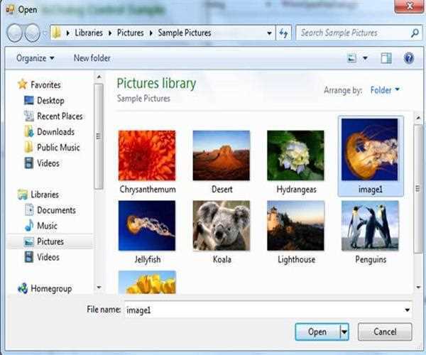 OpenFileDialog Control in C#.Net – MindStick