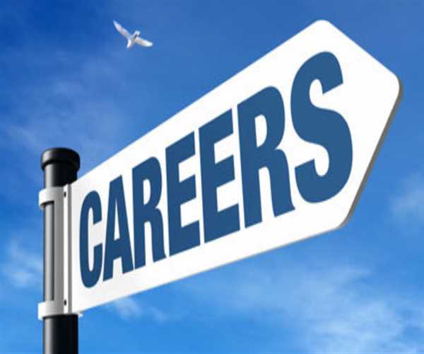 Best Future Career Options in 2024 – MindStick