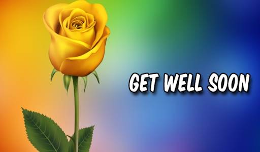 Some Delightful Get Well Soon Flowers With Positive Vibe – MindStick