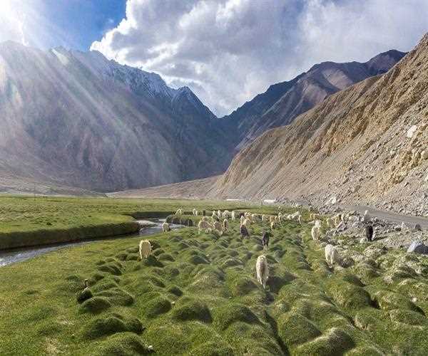 10 Unforgettable Things To Do In Ladakh – MindStick