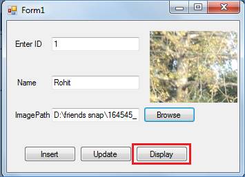Handling Binary Large Objects in a Database in C# – MindStick