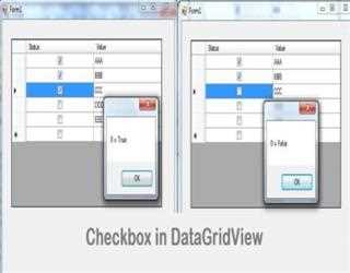 Checkbox in DataGridView
