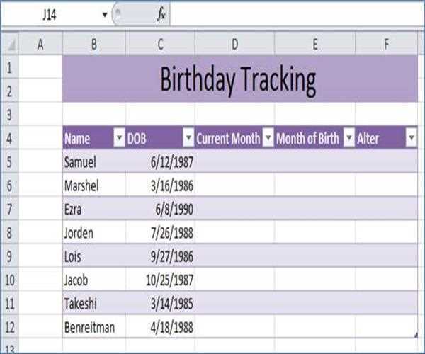 Birthday Tracking in Excel – MindStick