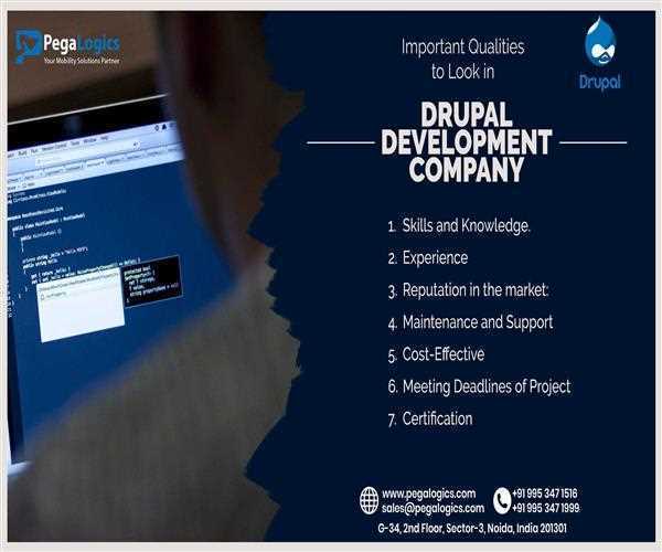 Important Qualities to Look in a Drupal Development Company – MindStick