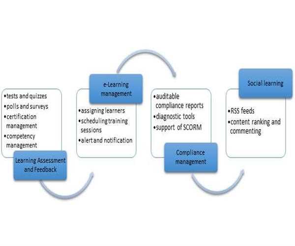 LMS Software Development – MindStick