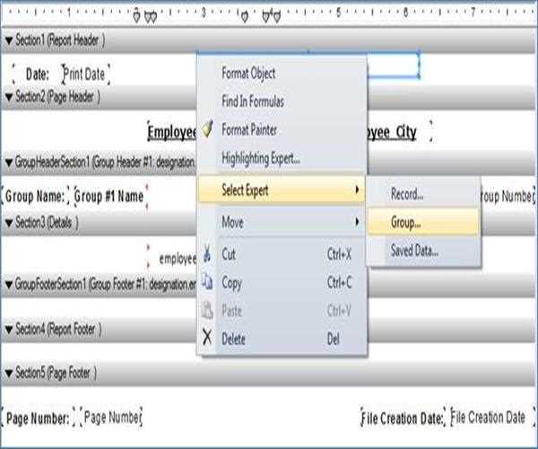 Special Fields in Crystal Report – MindStick