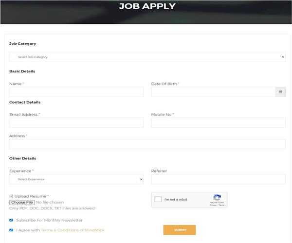 Career Opportunities at MindStick – MindStick