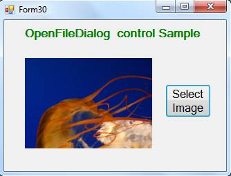 OpenFileDialog Control in VB.Net – MindStick