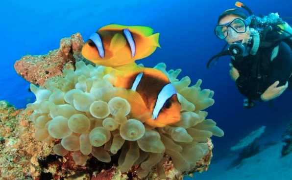 Ultimate adventure guide for Scuba diving in Andaman – MindStick