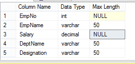 How to get field name with datatype and size In sql Query – MindStick